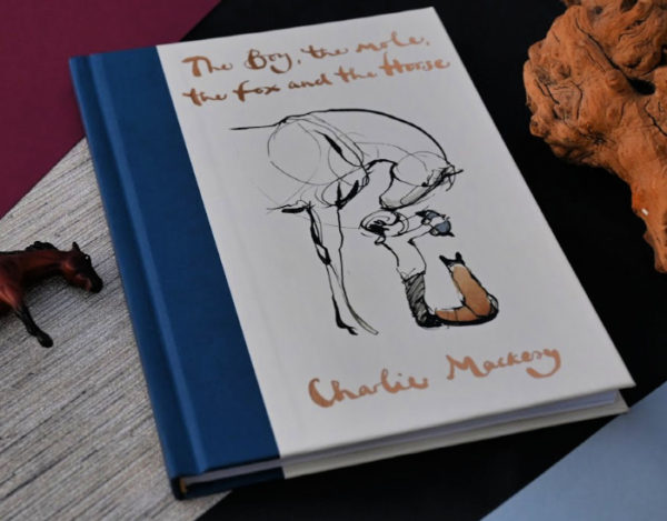The Boy, the Mole, the Fox and the Horse Book Review | Saddle Seeks Horse