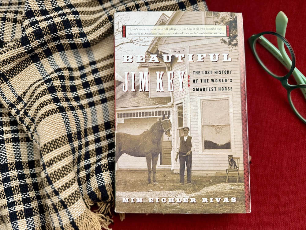 Beautiful Jim Key, the True Horse Story We Need Now | Saddle Seeks Horse